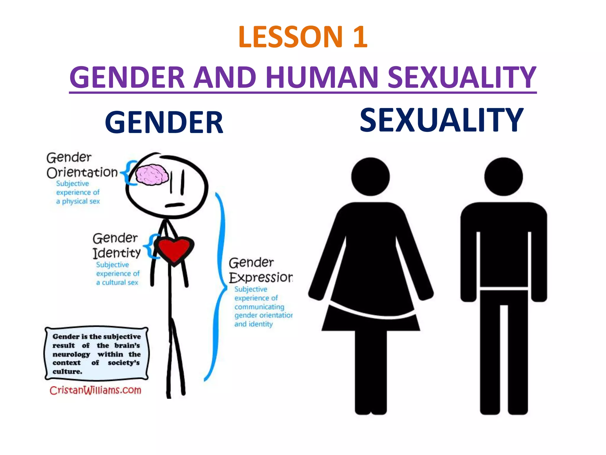 Gender And Sexuality Ppt