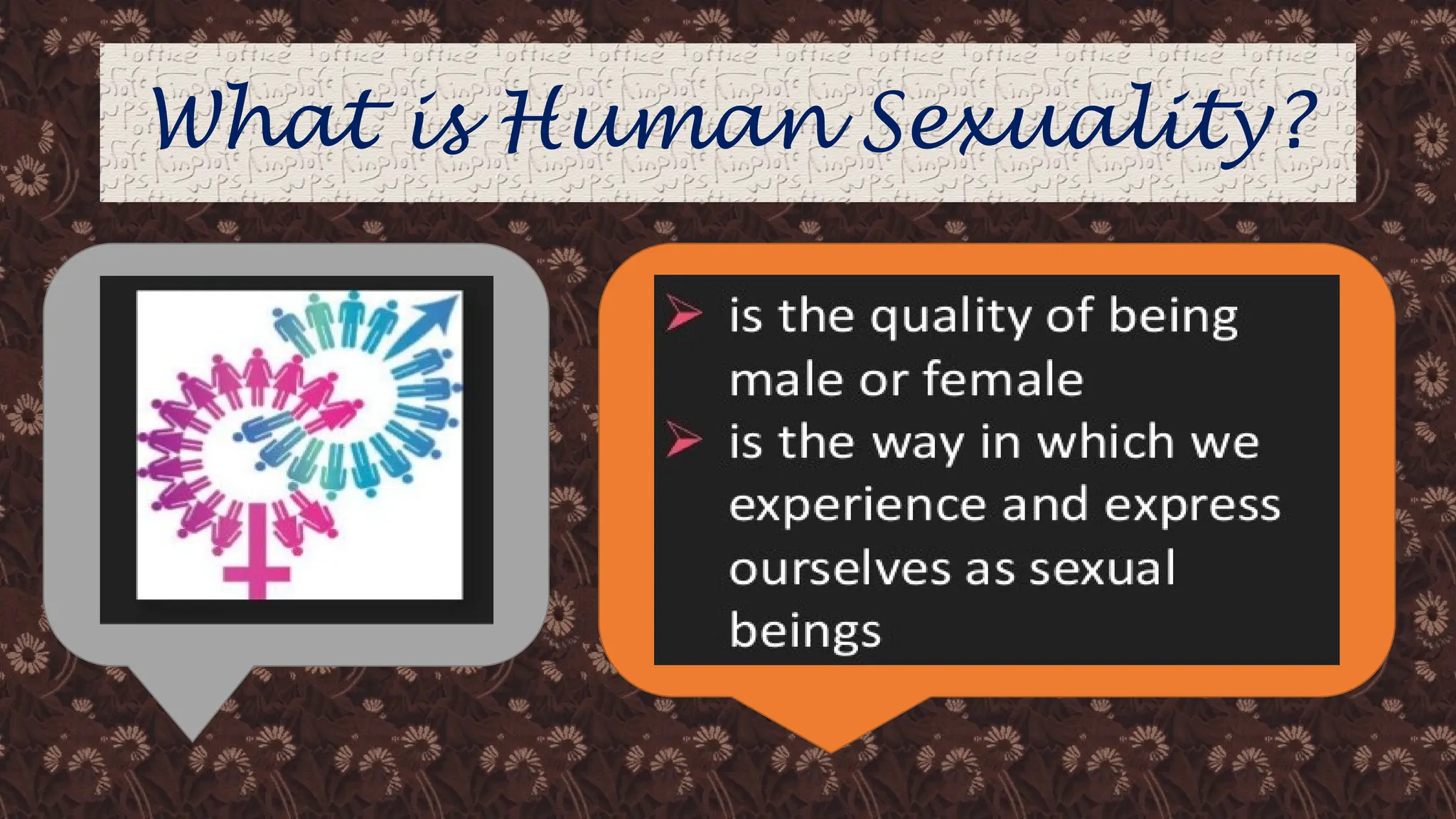 Gender And Human Sexuality Pptxhjdhjdfhhjhd Ppt