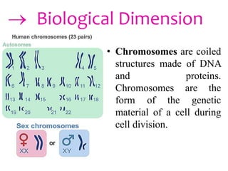 Gender and Human Sexuality | PPSX