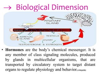 Gender and Human Sexuality | PPSX