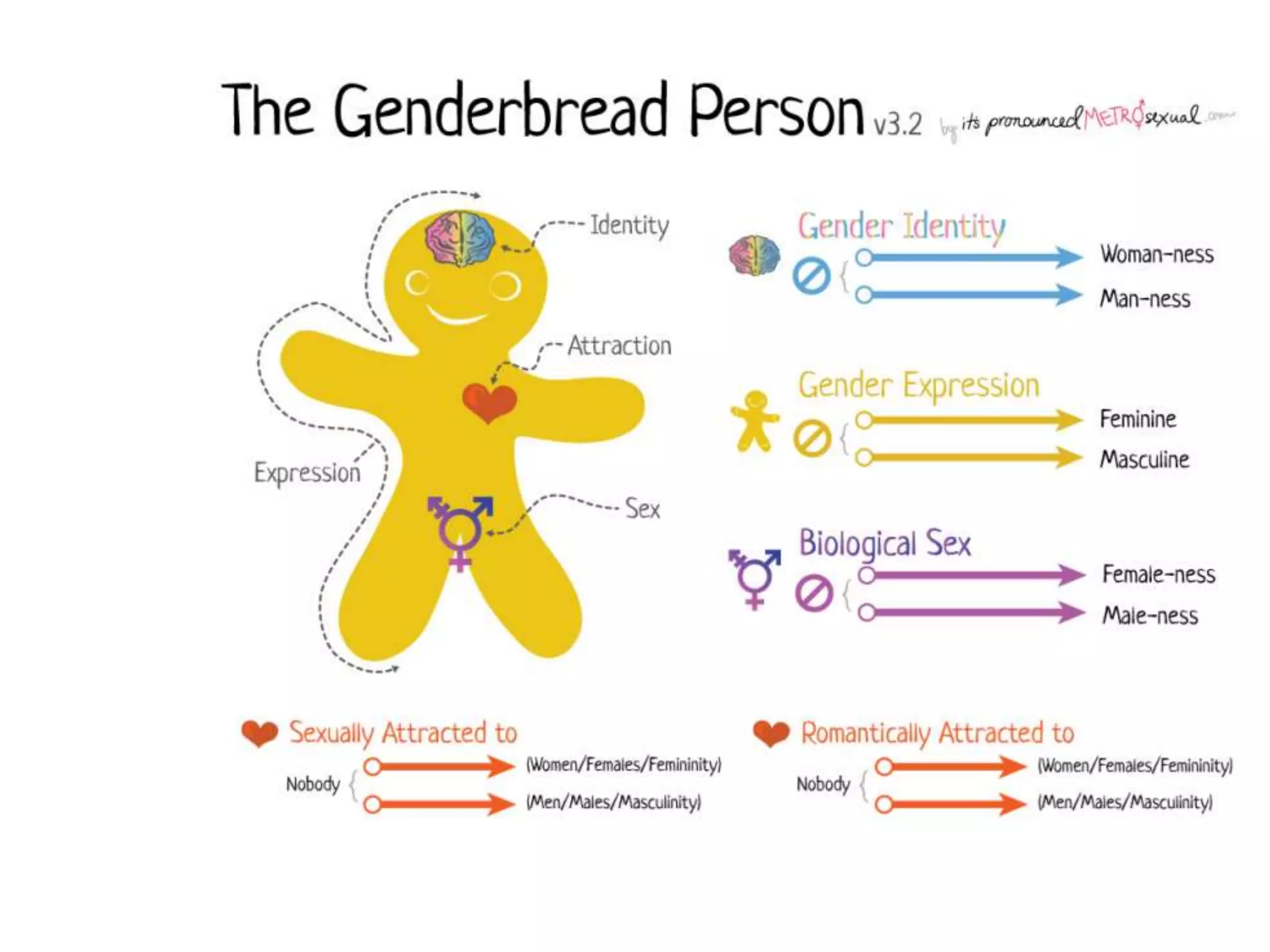 Gender and identity | PPTX