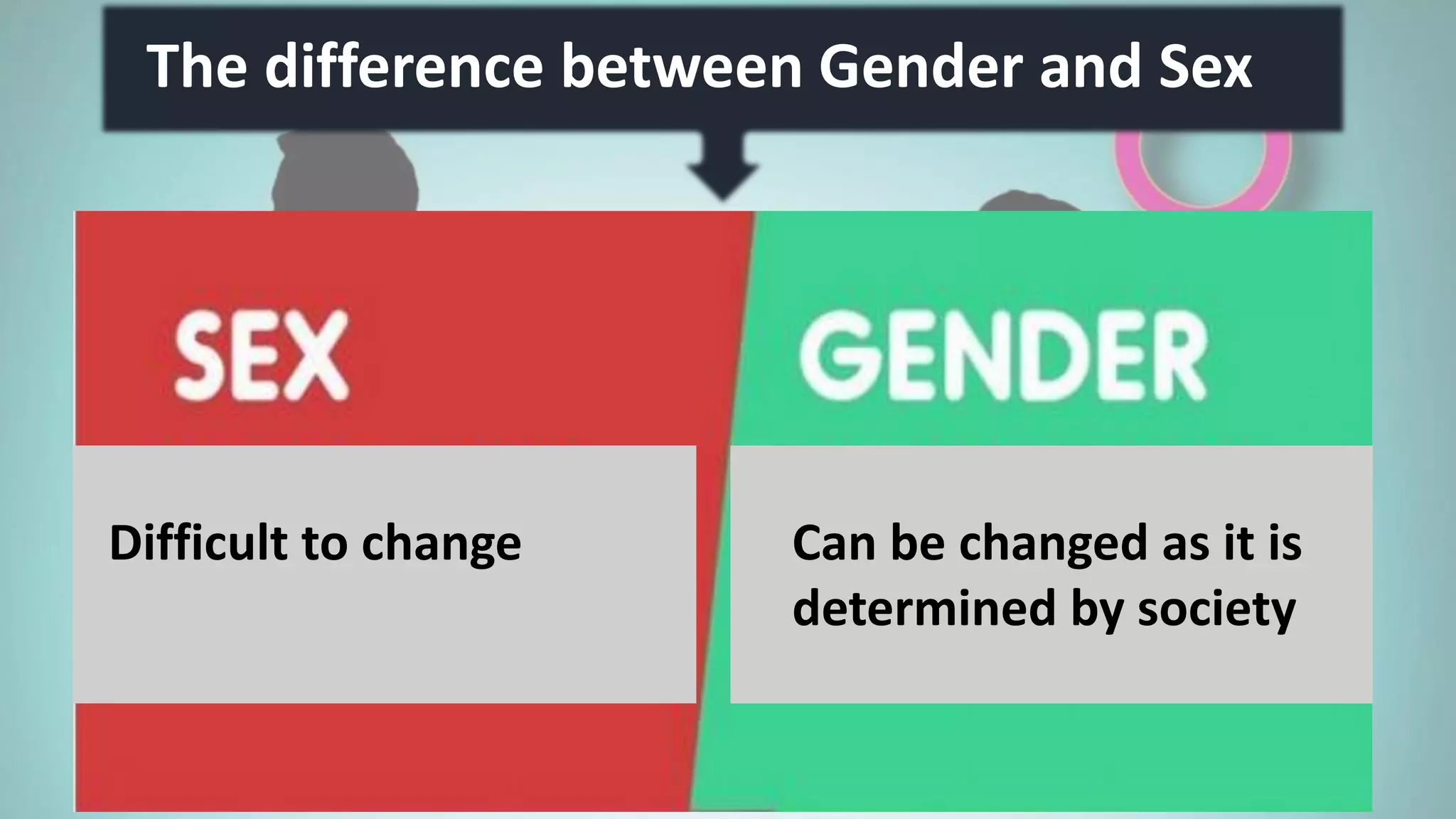 Gender and sex | PDF