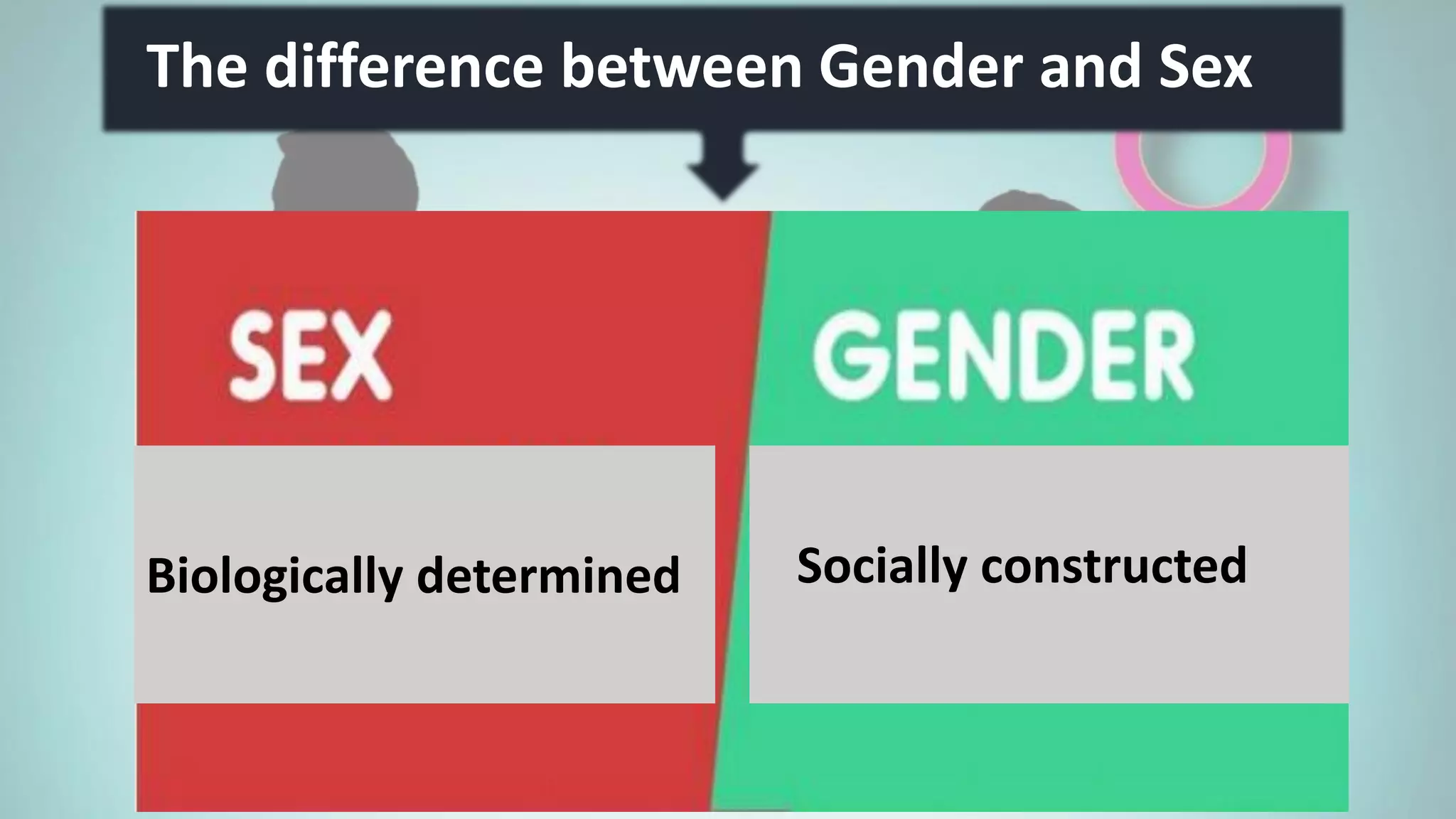 Gender and sex | PDF
