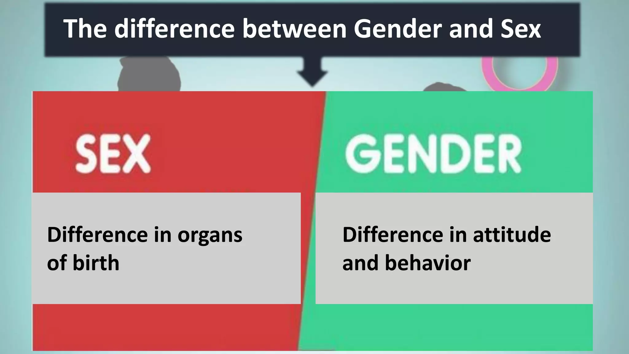 Gender and sex | PDF