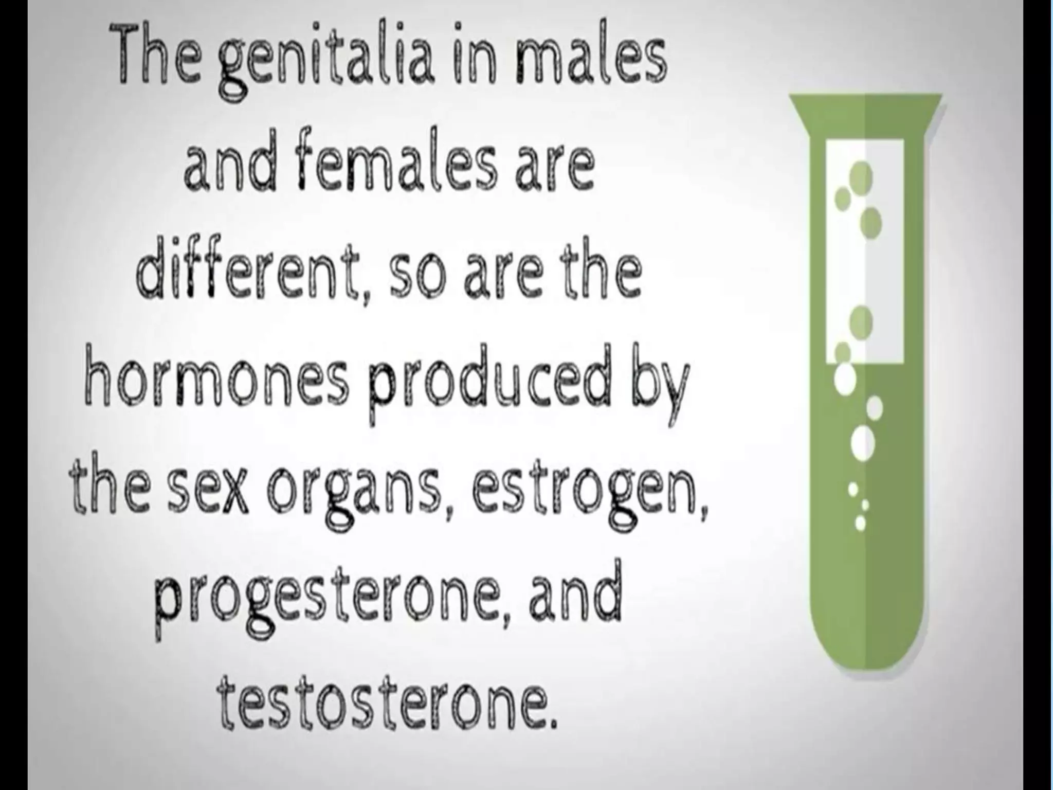 Gender And Sex Ppt Ppt