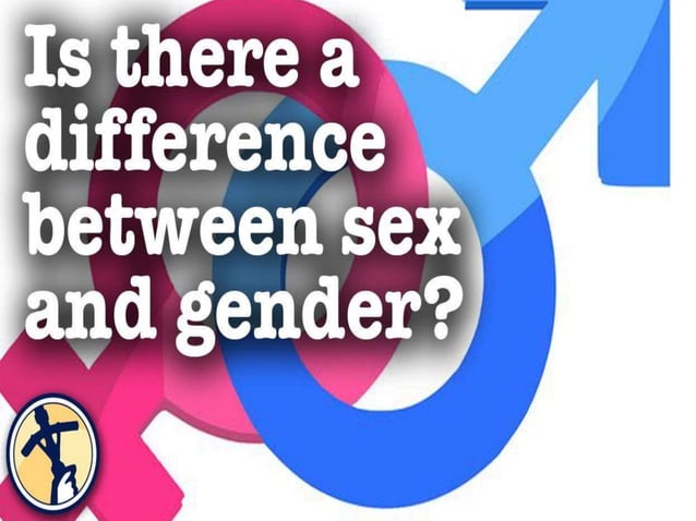 Gender And Sex Ppt Ppt