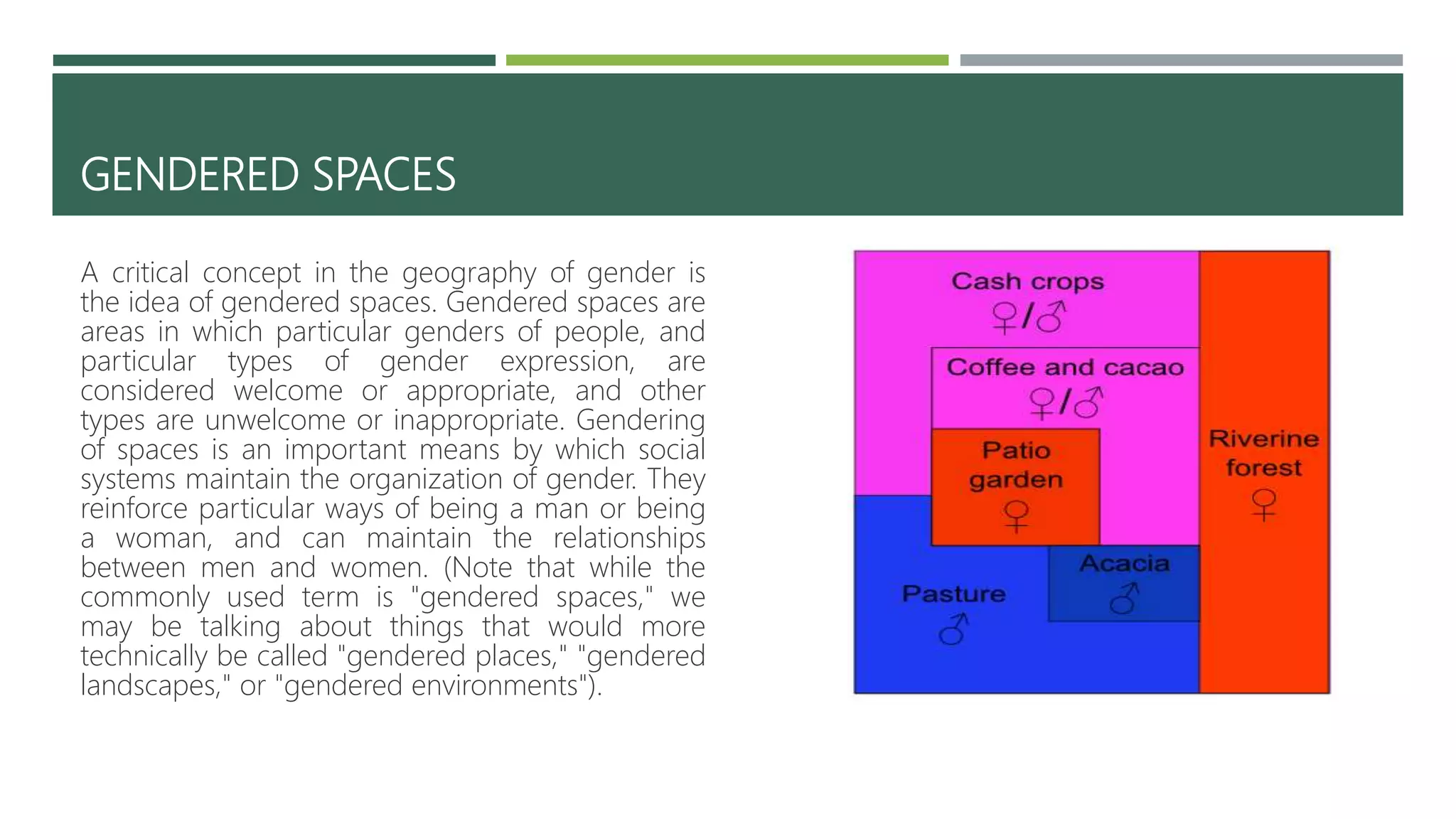 Gender and sexuality | PPTX