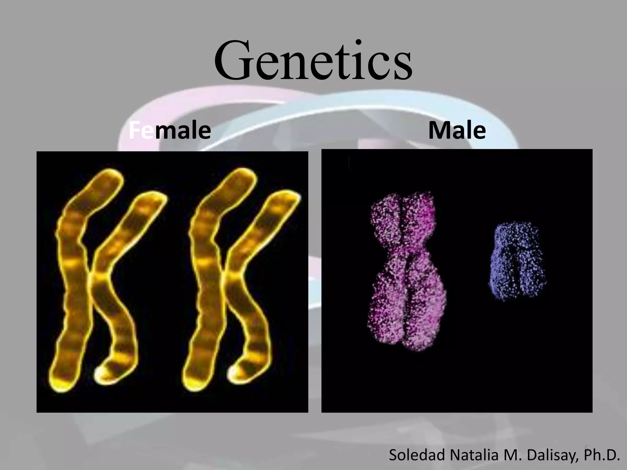 Gender and sexuality | PPTX