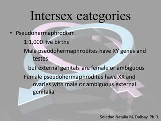 Gender and sexuality | PPTX