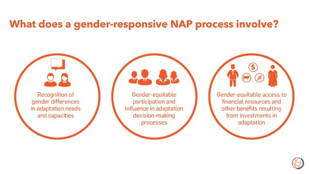 Integrating Gender Equality and Social Inclusion (GESI) in the NAP ...