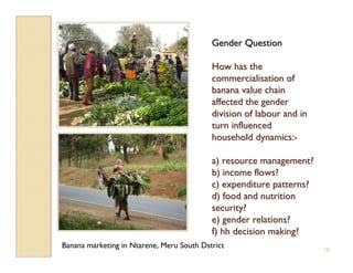 Gender and the banana value chain in Imenti south district | PPT