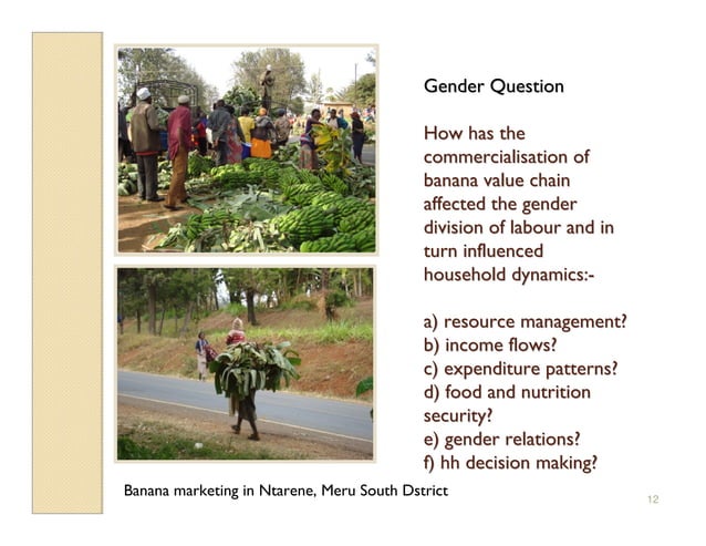 Gender and the banana value chain in Imenti south district | PPT