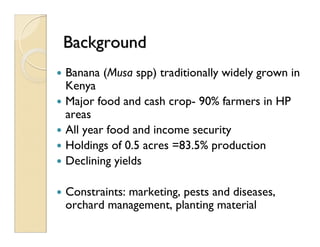 Gender and the banana value chain in Imenti south district | PDF