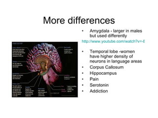 Gender And The Brain | PPT | Reproductive Health | Diseases and Conditions