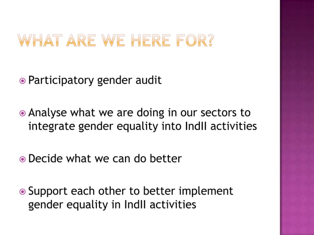 Gender audit feb 2013 | PDF