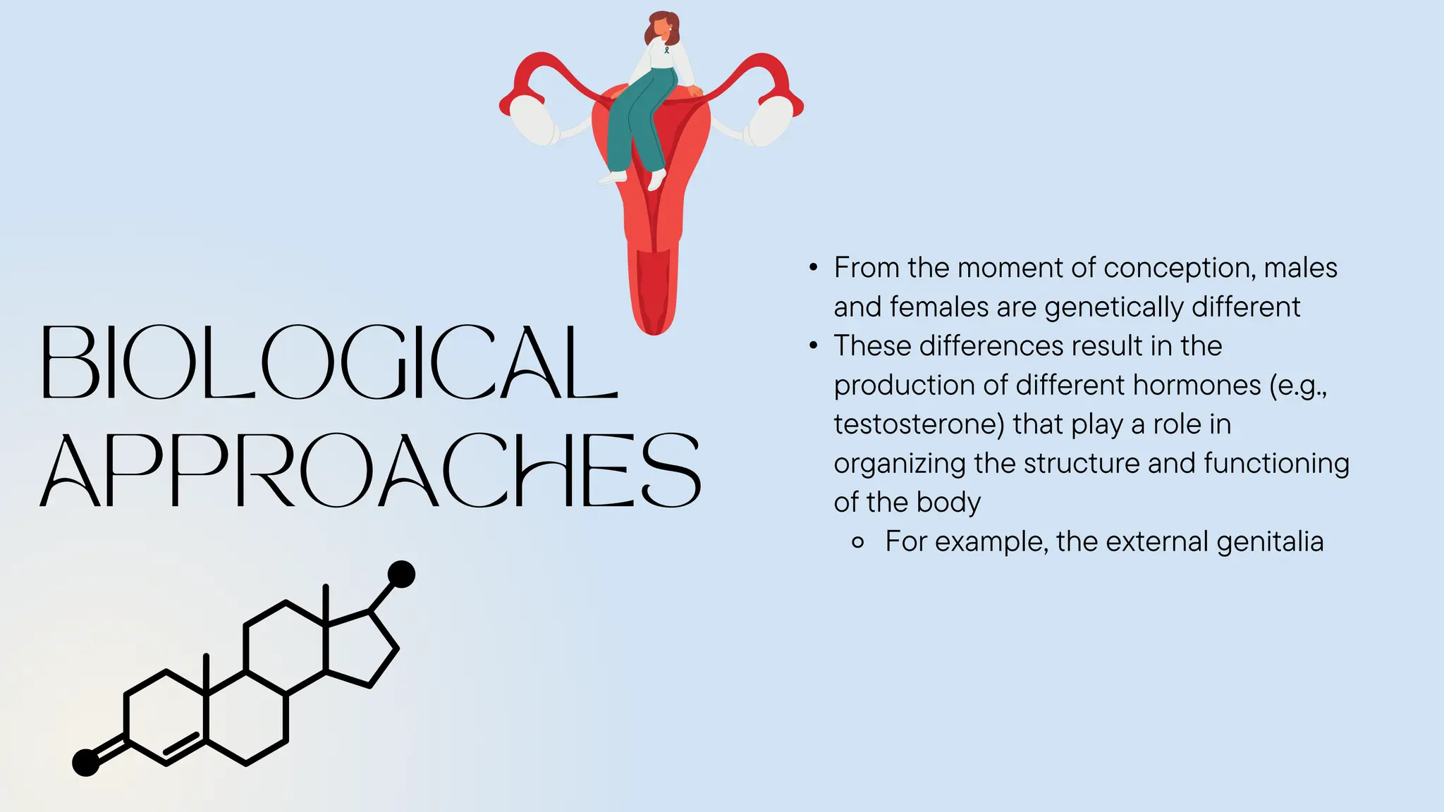 Gender Development Powerpoint Slides Psychology of Adolescents | PPT