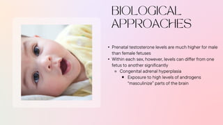 Gender Development Powerpoint Slides Psychology of Adolescents | PDF