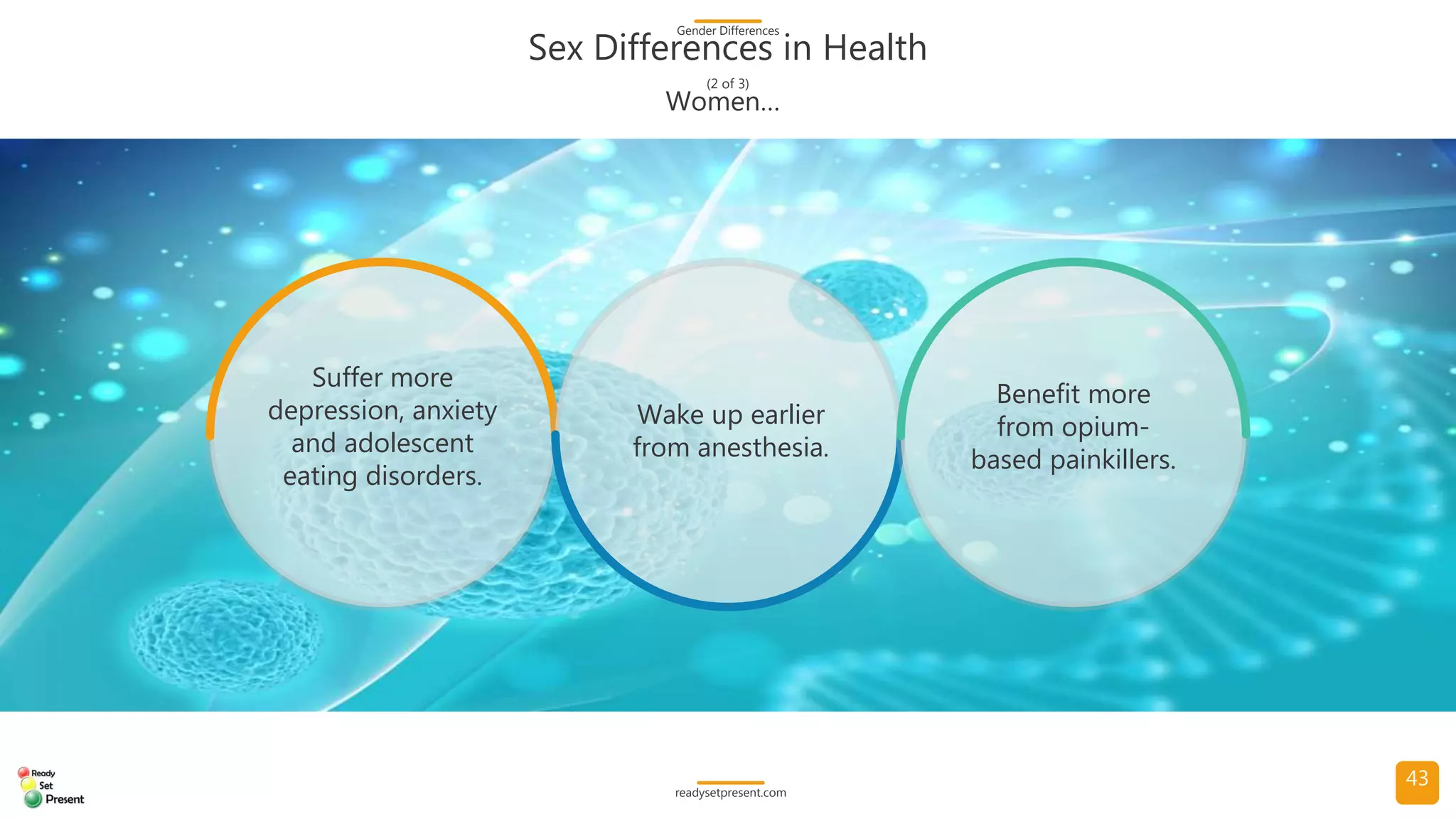 Gender Differences (Comprehensive) PowerPoint Presentation 170 slides ...