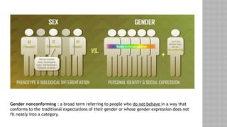 GENDER DYSPHORIA / gender dysphoria .pptx