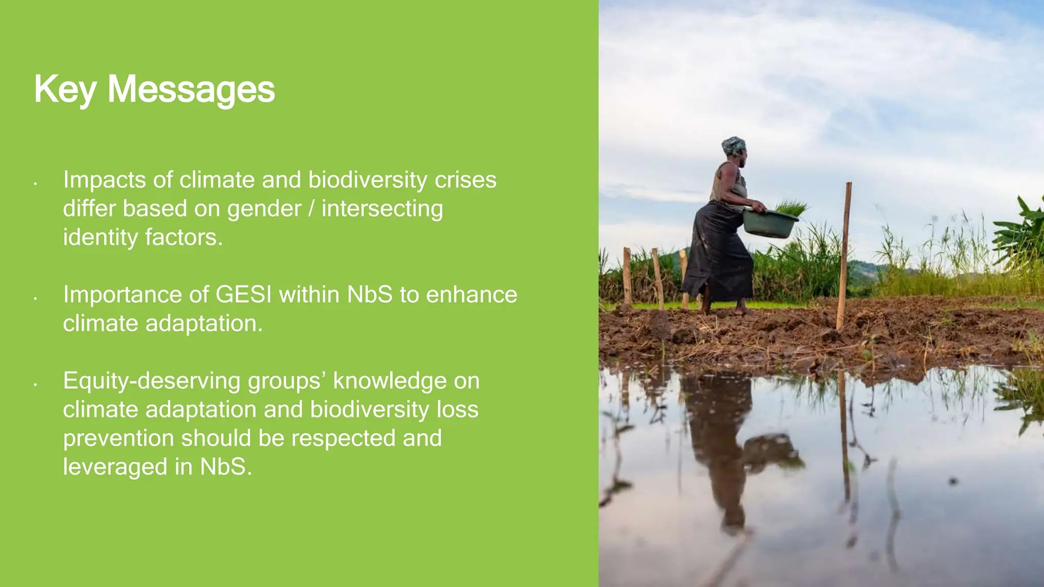 Gender Equality and Social Inclusion in Nature-based Solutions for ...