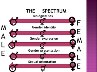 Gender Identity | PPTX