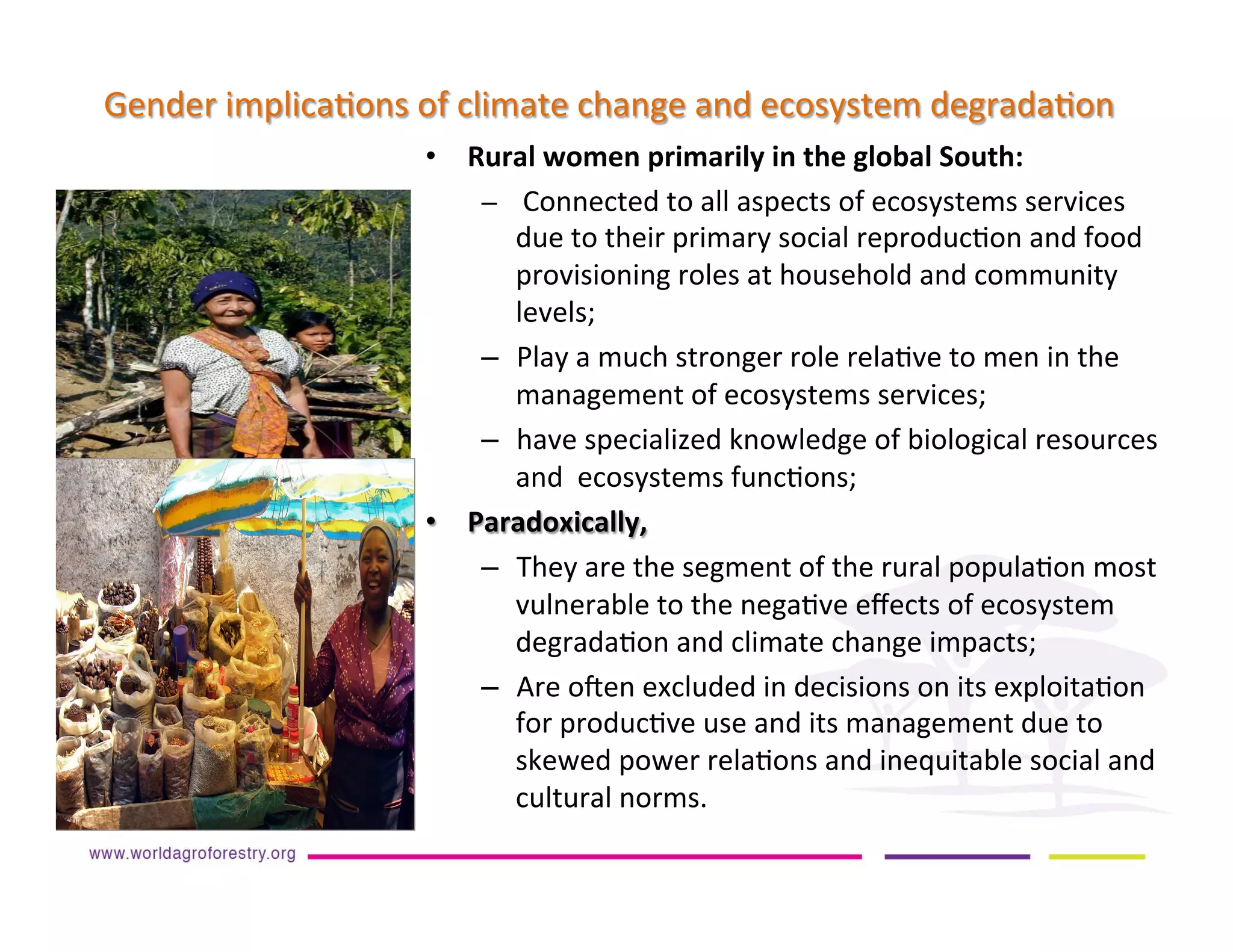 Gender implications of climate change and ecosystem degradation | PDF