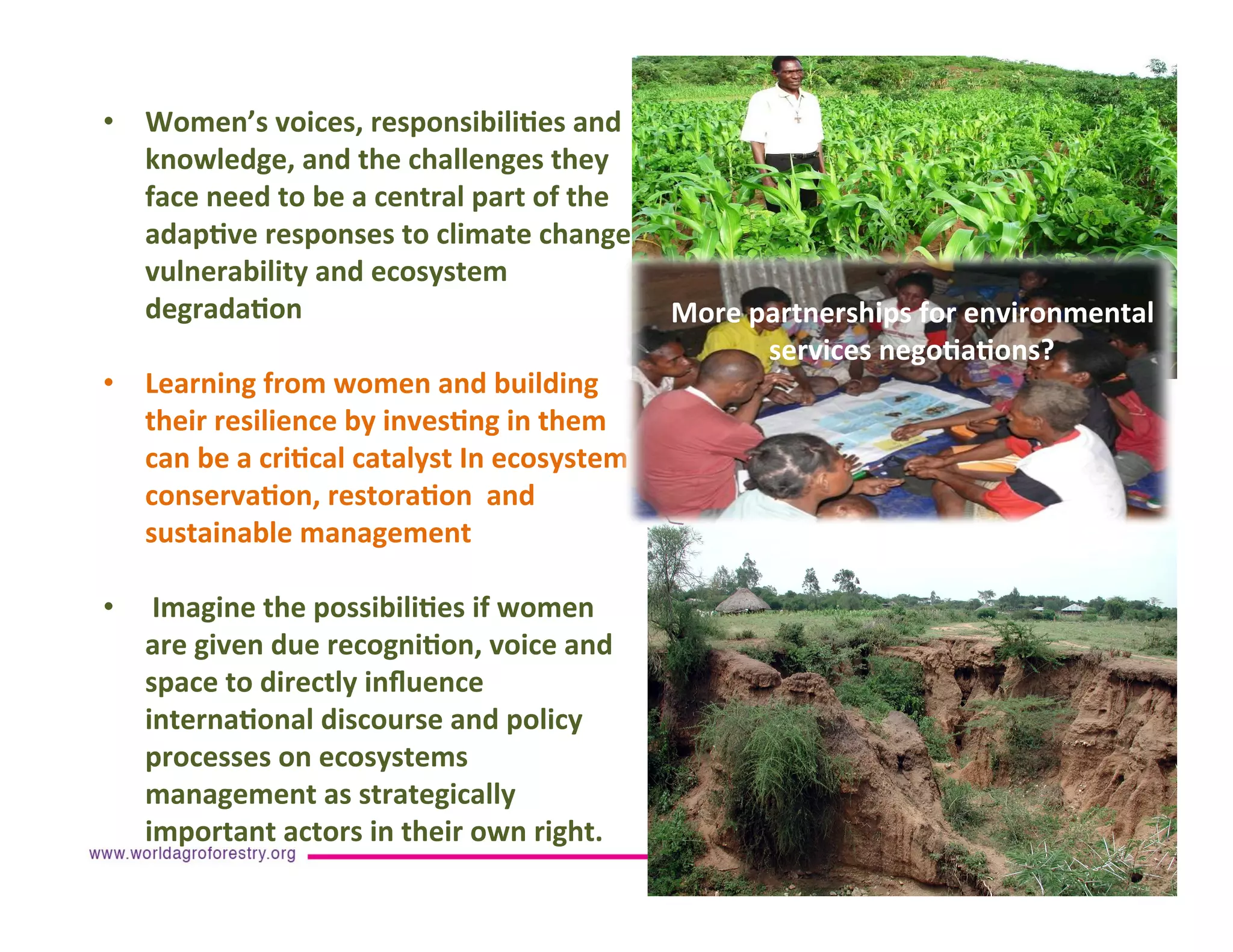 Gender implications of climate change and ecosystem degradation | PDF