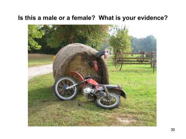 Humor and Gender issues | PPT