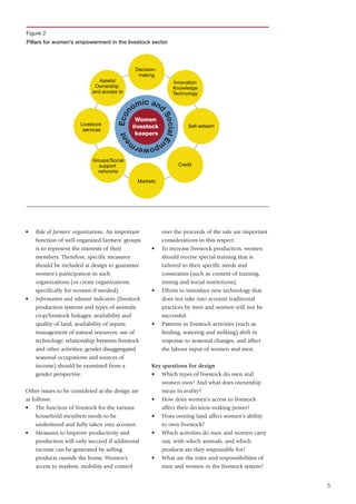 Gender and Livestock: Tools for Design | PDF