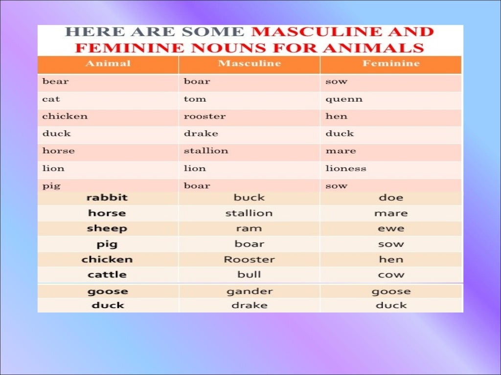 Gender Of Nouns gender-of-nouns