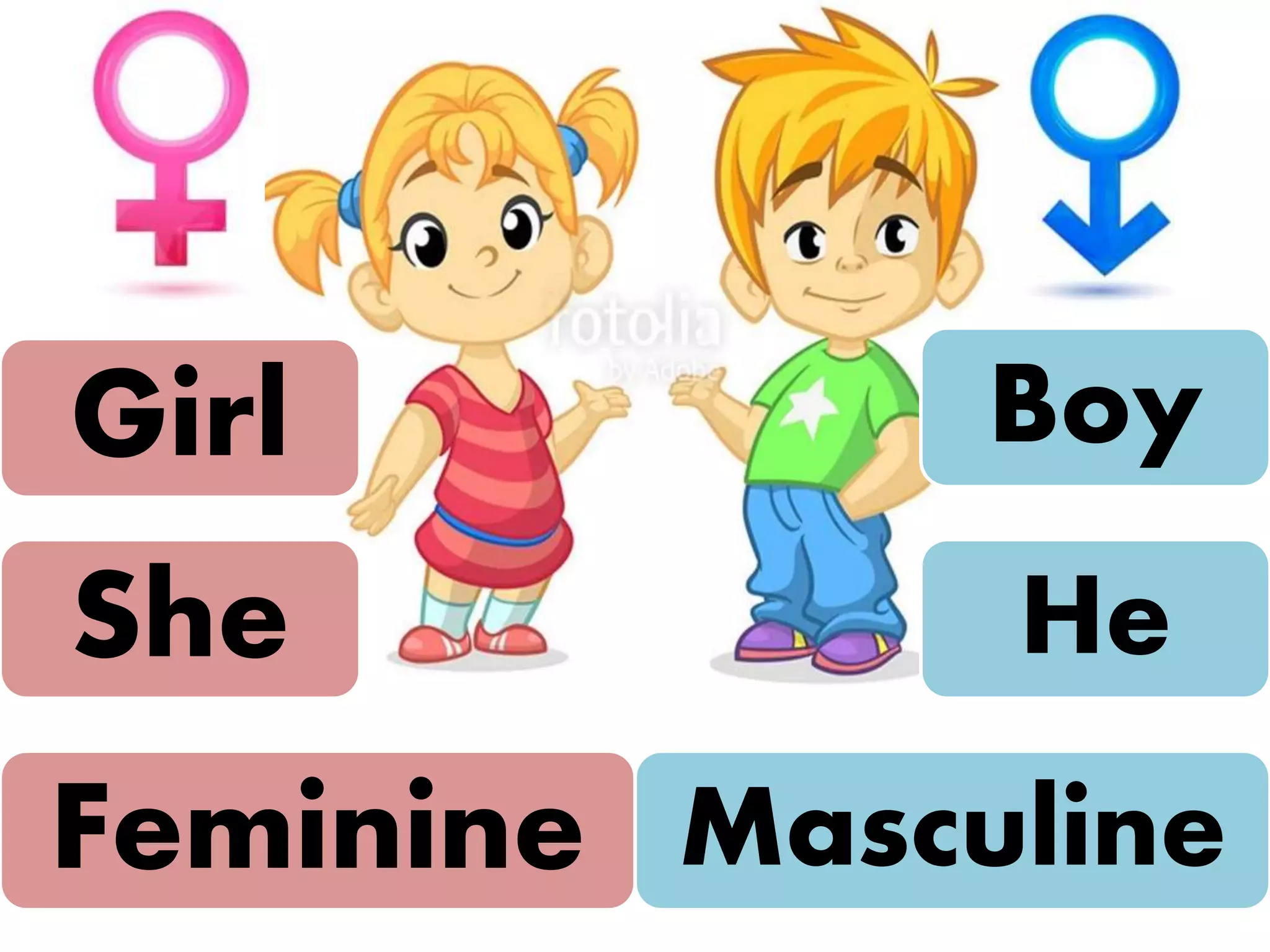 Gender of nouns | PPTX