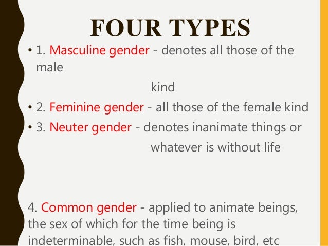 Gender of nouns 5
