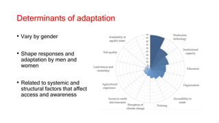 Gender Equality and Climate Change Adaptation: Why consider gender in ...