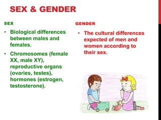 Gender pp | PPTX