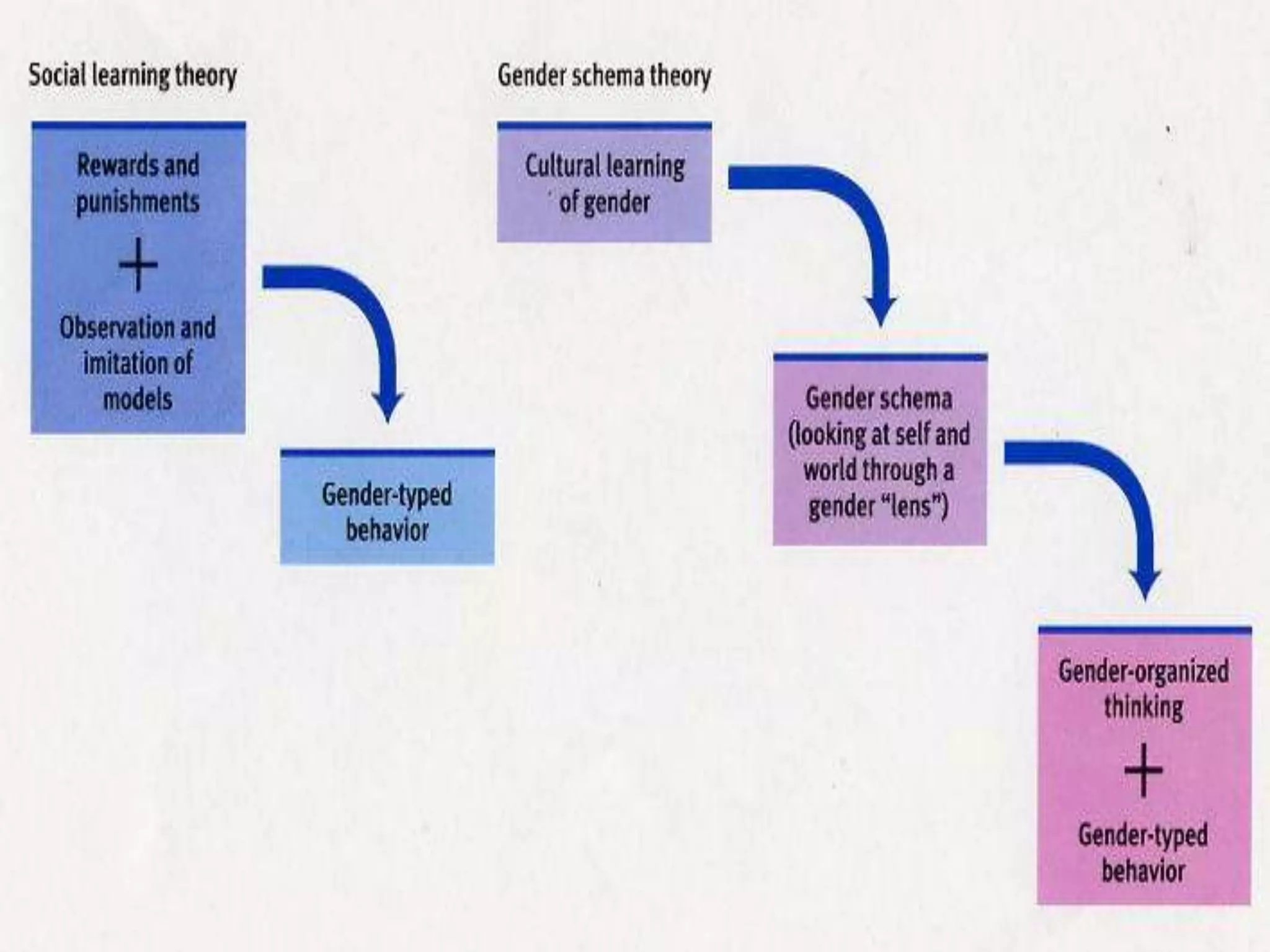 Gender role | PPTX | Parenting | Family and Relationships