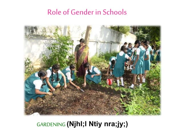 Gender roles and responsibilities assigned in classroom | PPTX