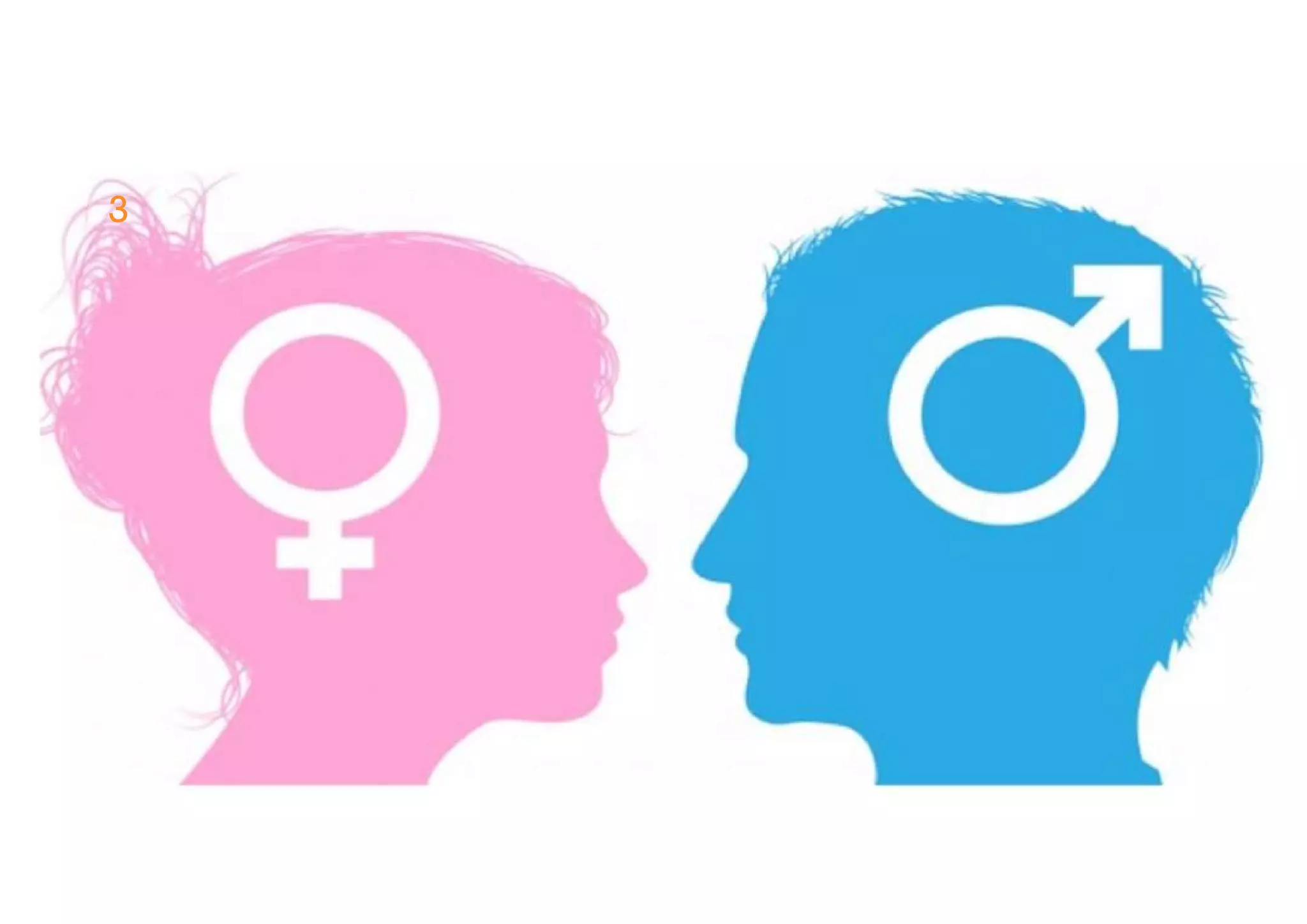 Gender roles in society | PDF
