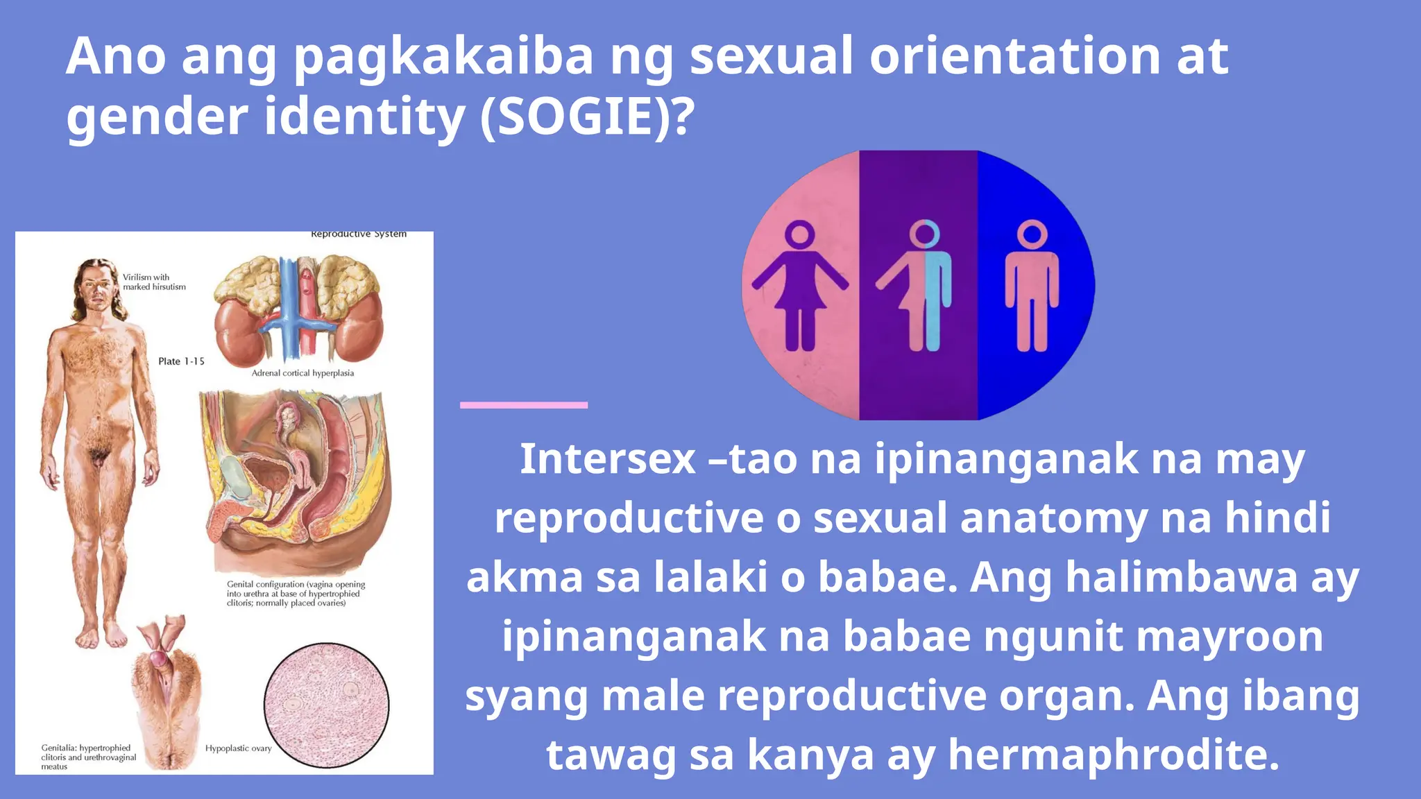 GENDER ROLES SA IBAT-IBANG PANIG DAIGDIG.pptx