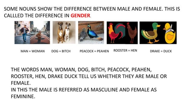 Gender | PPT