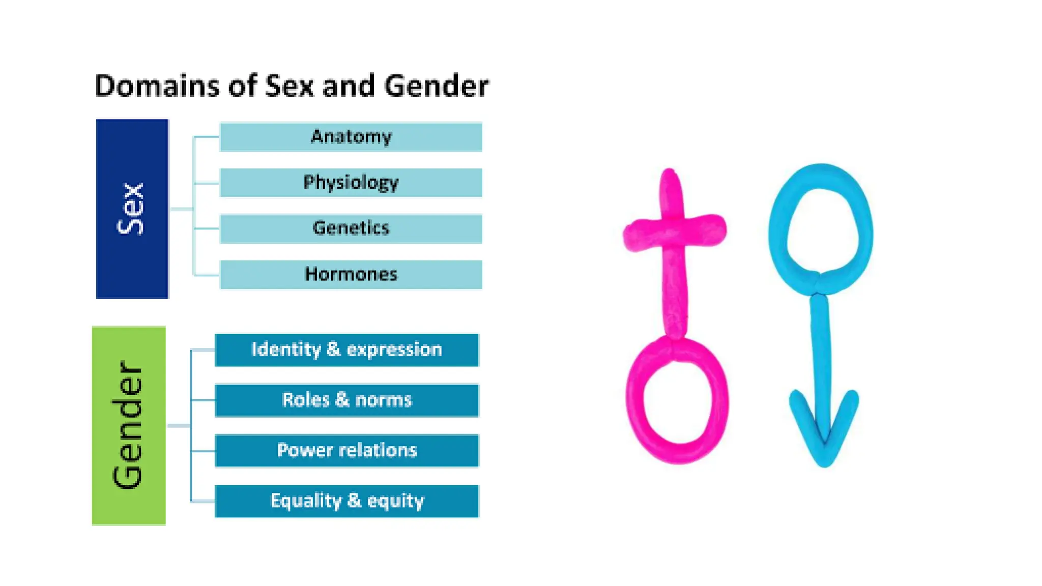 GENDER SENSITIZATION PPT.pptx gener vs sex | PPTX