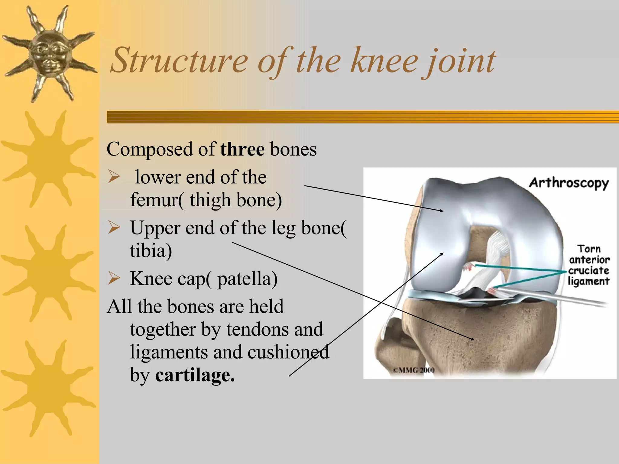 Gender Specific High Flex Knee replacement | PPT