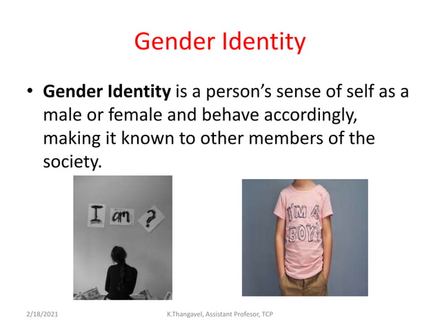 Gender Stereotypes and Gender Roles | PPTX