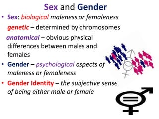 Gender studies introduction ppt | PPT
