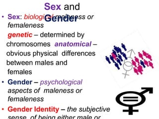 gender studies introduction ppt-.pptx