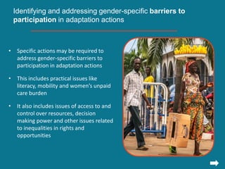 Webinar | Gender Equality in National Adaptation Plan (NAP) Processes: Assessing vulnerabilities ...