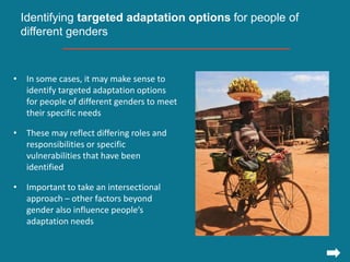 Webinar | Gender Equality in National Adaptation Plan (NAP) Processes: Assessing vulnerabilities ...