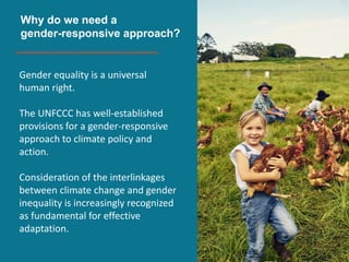 Webinar | Gender Equality in National Adaptation Plan (NAP) Processes: Assessing vulnerabilities ...