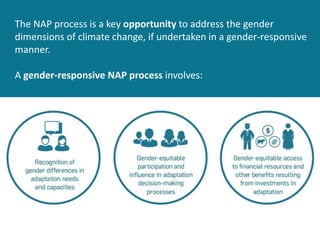 Webinar | Gender Equality in National Adaptation Plan (NAP) Processes: Assessing vulnerabilities ...