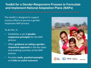 Webinar | Gender Equality in National Adaptation Plan (NAP) Processes: Assessing vulnerabilities ...