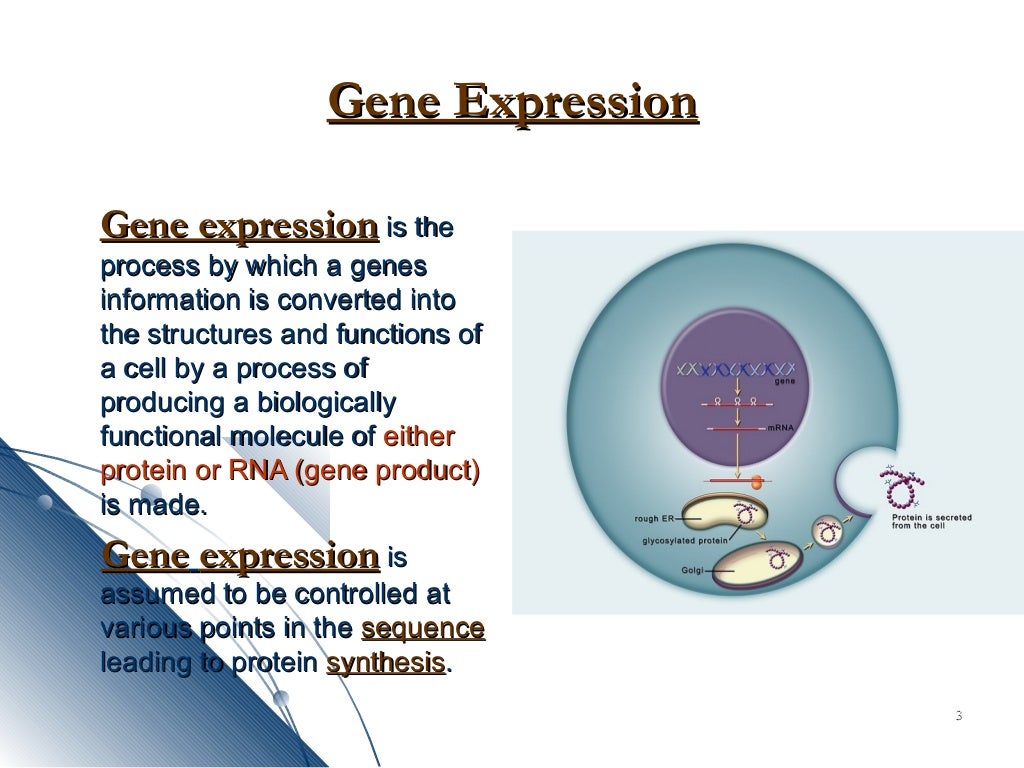Gene:its nature expression and regulation